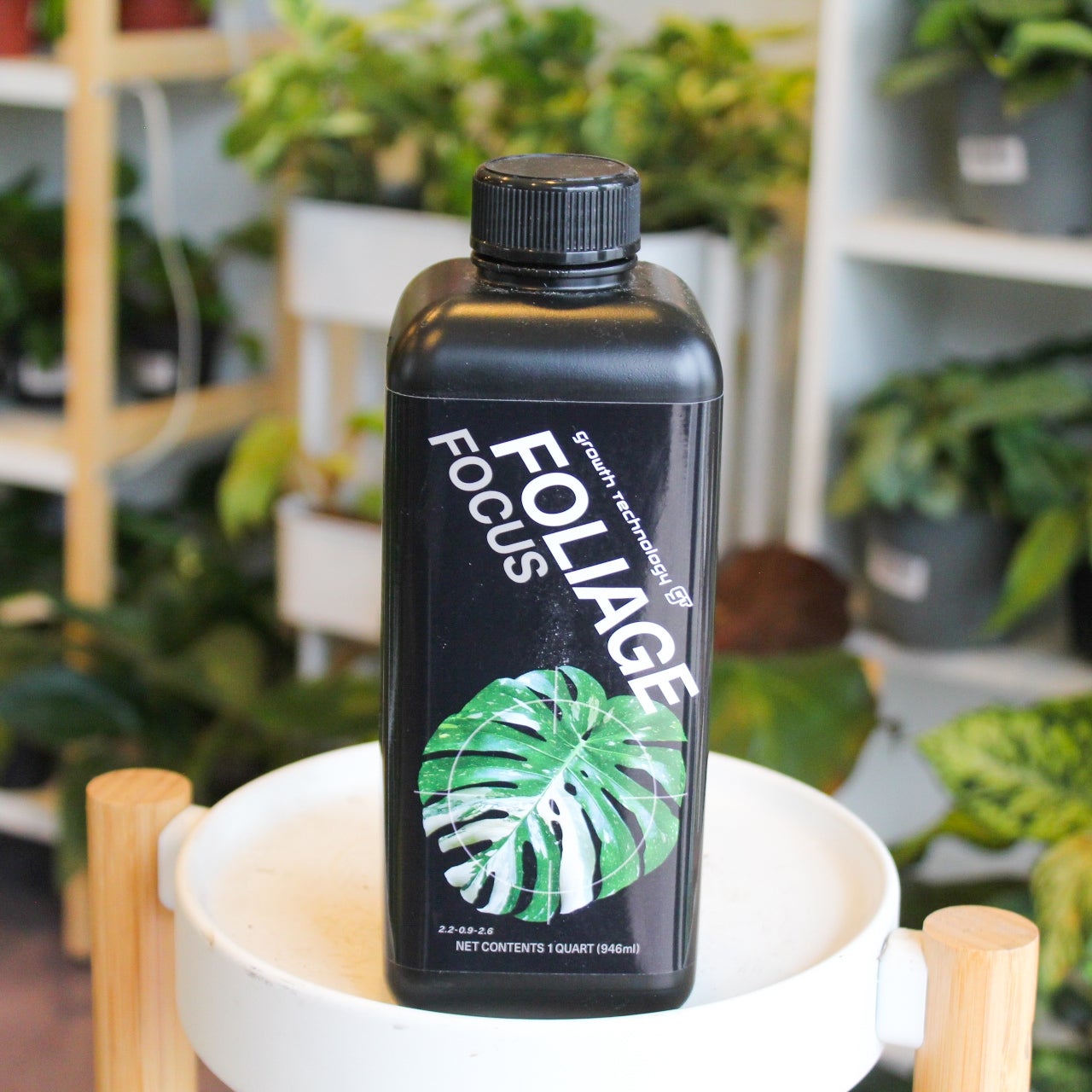 GT Foliage Focus - 1 liter | Pita's Planters